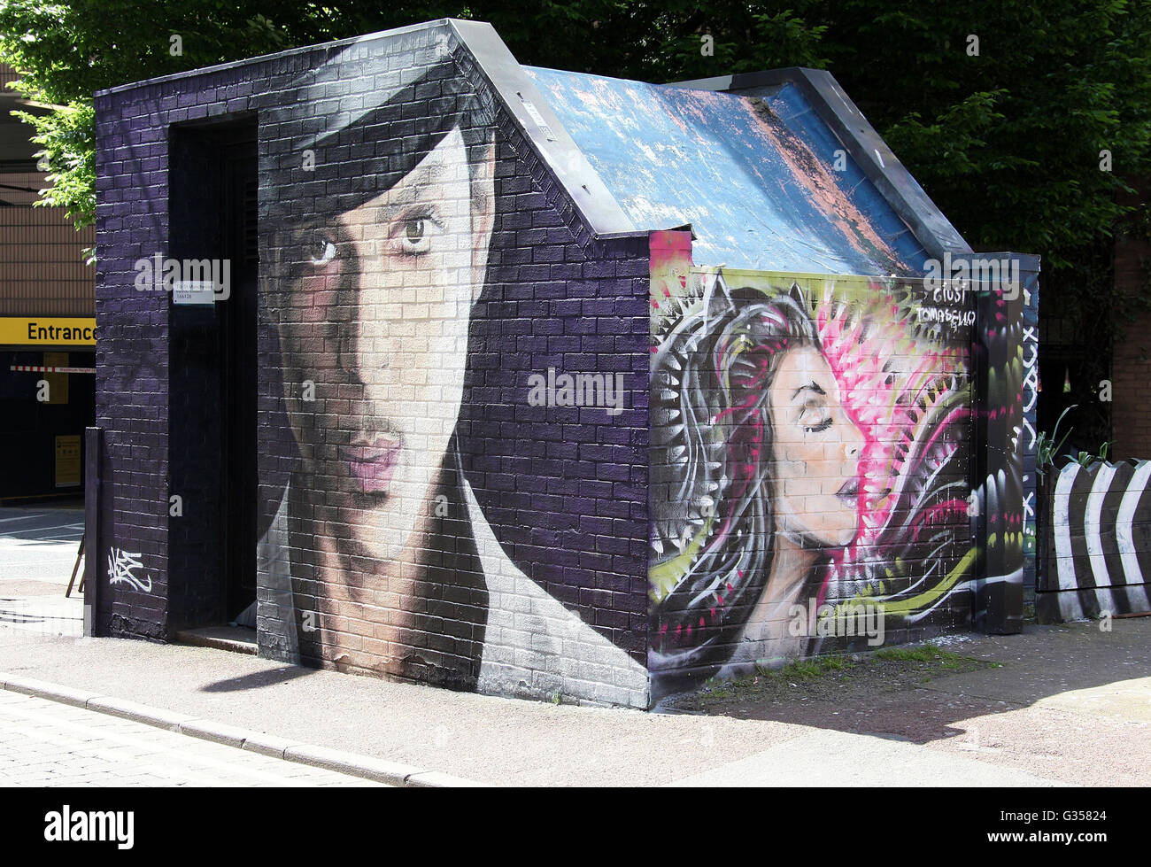 Photorealistic portrait of Prince by famous street artist Akse P19 in ...