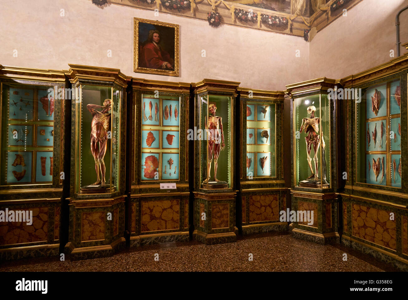 Museo di palazzo poggi hi-res stock photography and images - Alamy