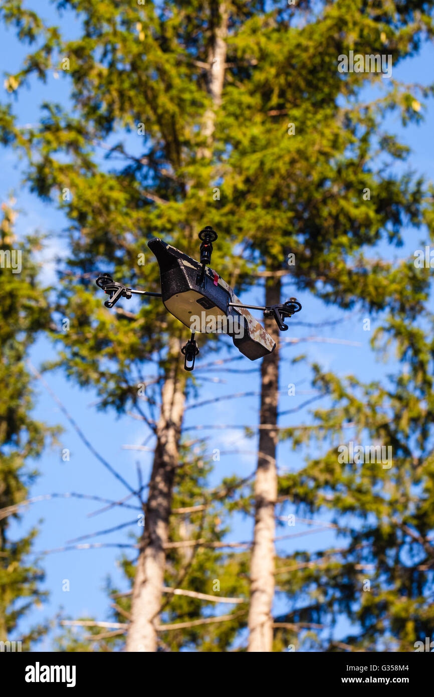 Flying through the trees hi-res stock photography and images - Alamy