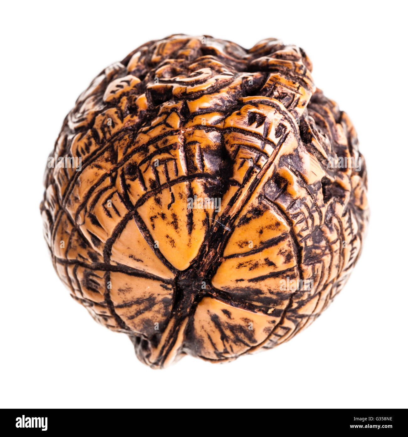 an intricate nut shell carving isolated over a white background Stock ...