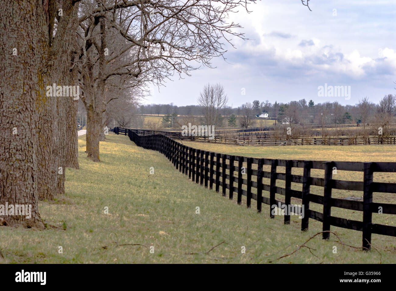 Country landscape with fenceline and trees viewed in perspective Stock ...