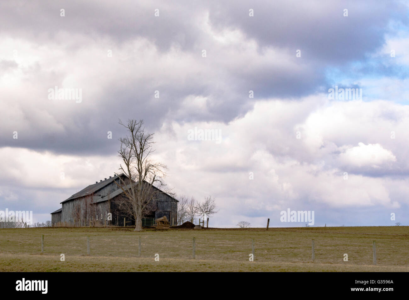 Lone barn and tree in a field with dramatic sky and blank area to the ...