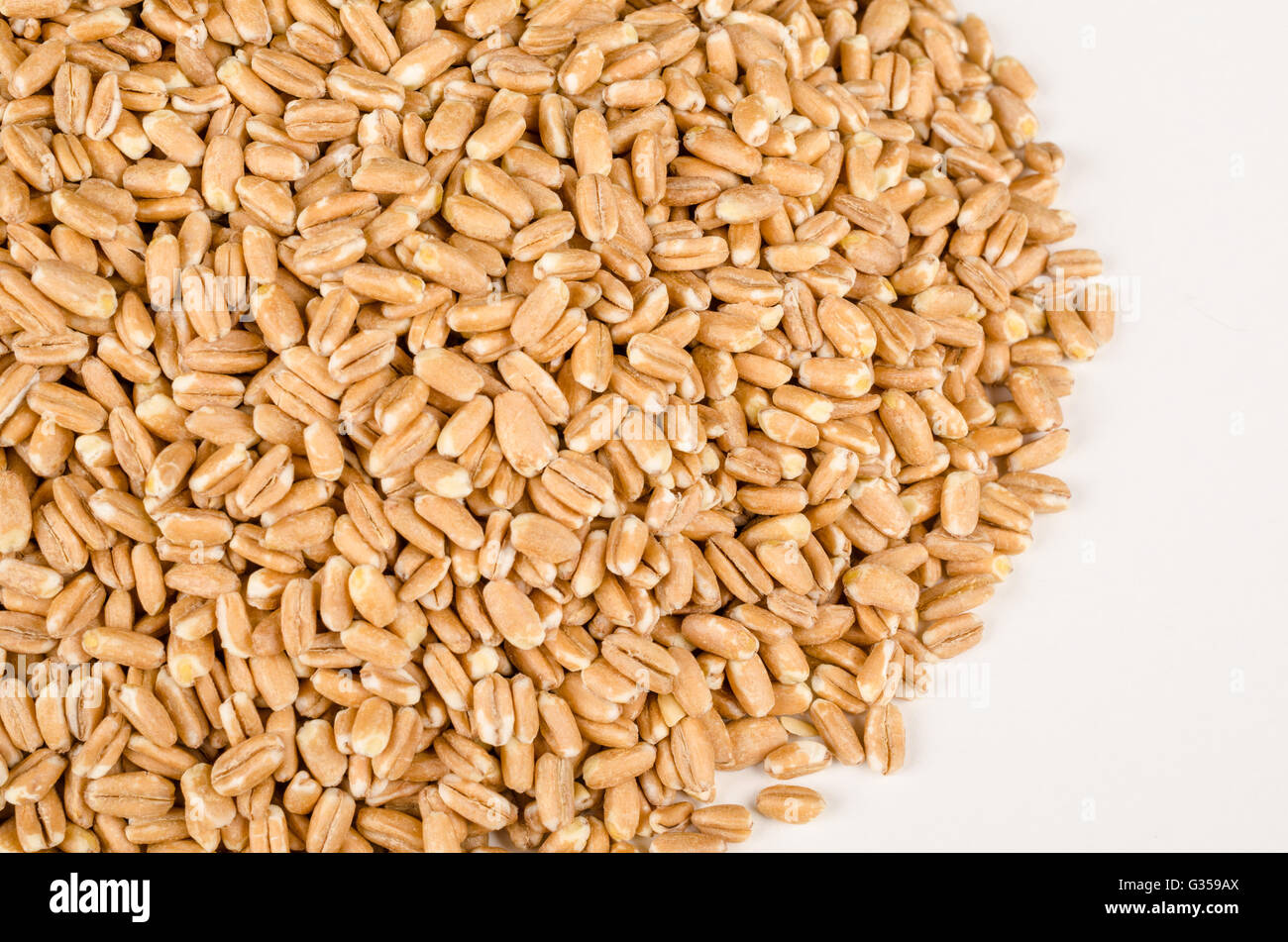 Spelt grain hi-res stock photography and images - Alamy