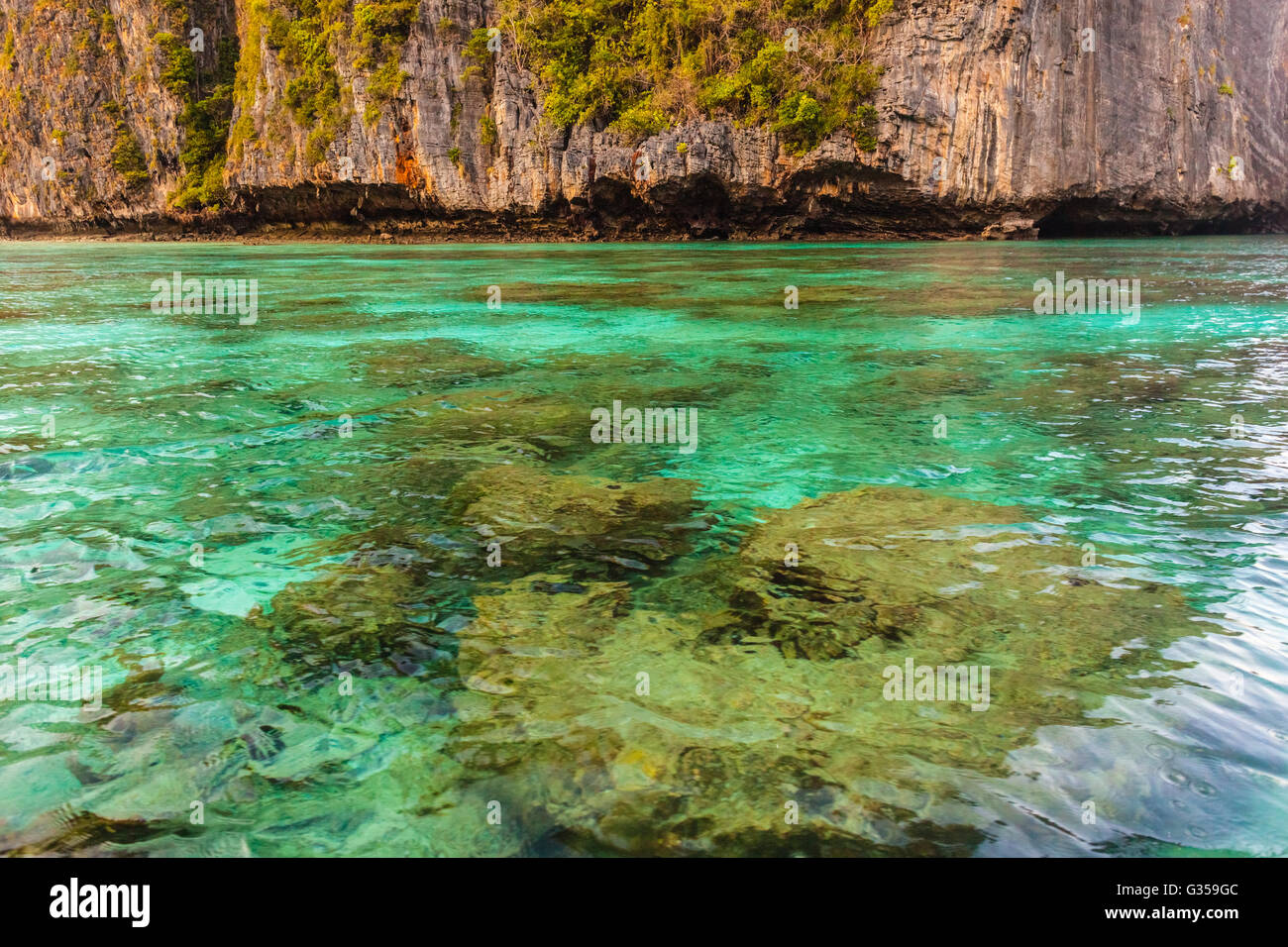 Maya Bay is sheltered by high cliffs on three sides with several ...