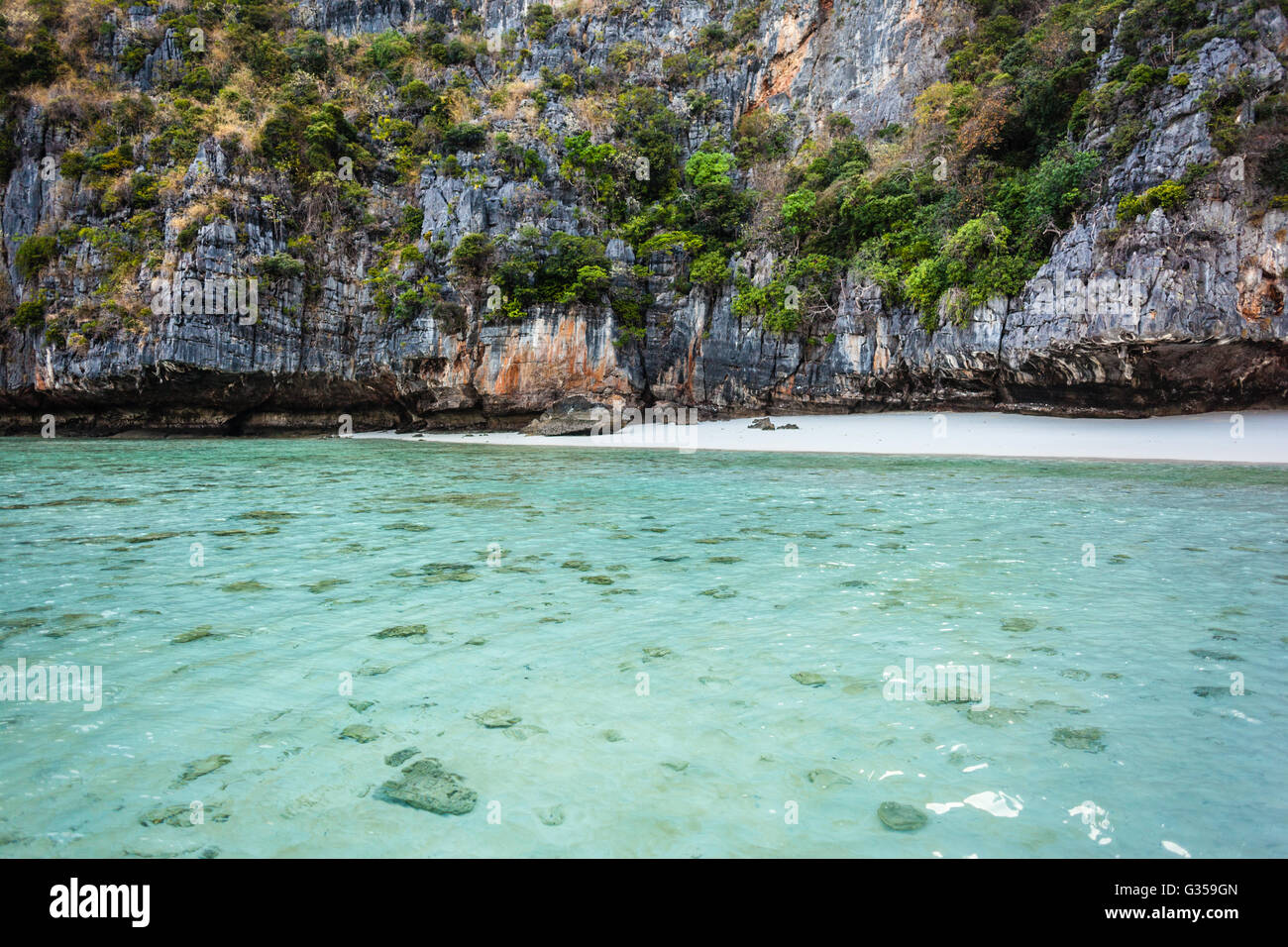 Maya Bay is sheltered by high cliffs on three sides with several ...