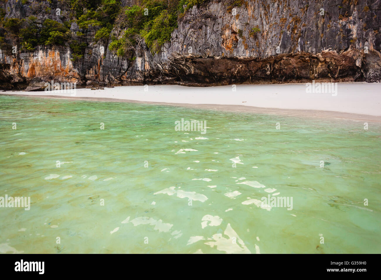 Maya Bay is sheltered by high cliffs on three sides with several ...