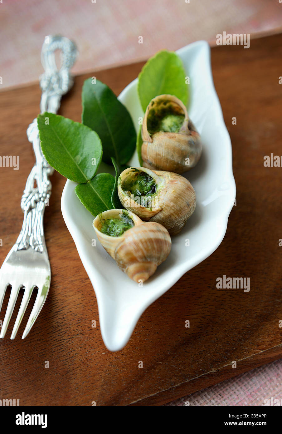 Lime shell hi-res stock photography and images - Alamy