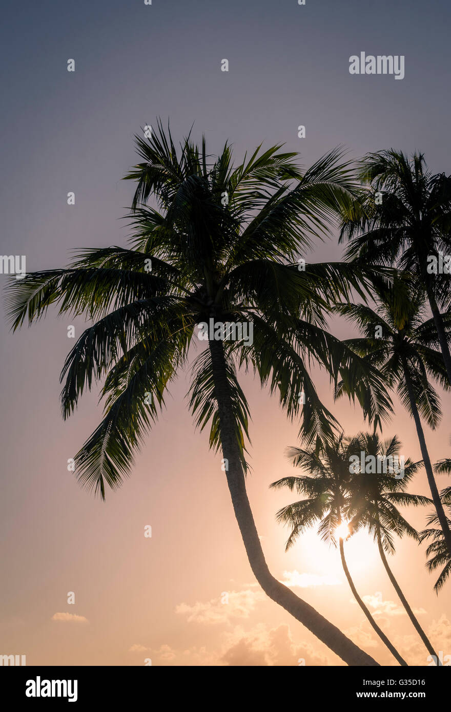Vacation in brazil hi-res stock photography and images - Alamy