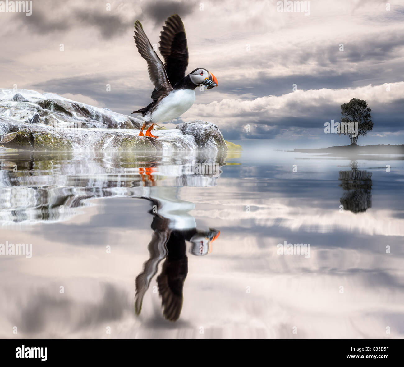 Funny reflection hi-res stock photography and images - Alamy