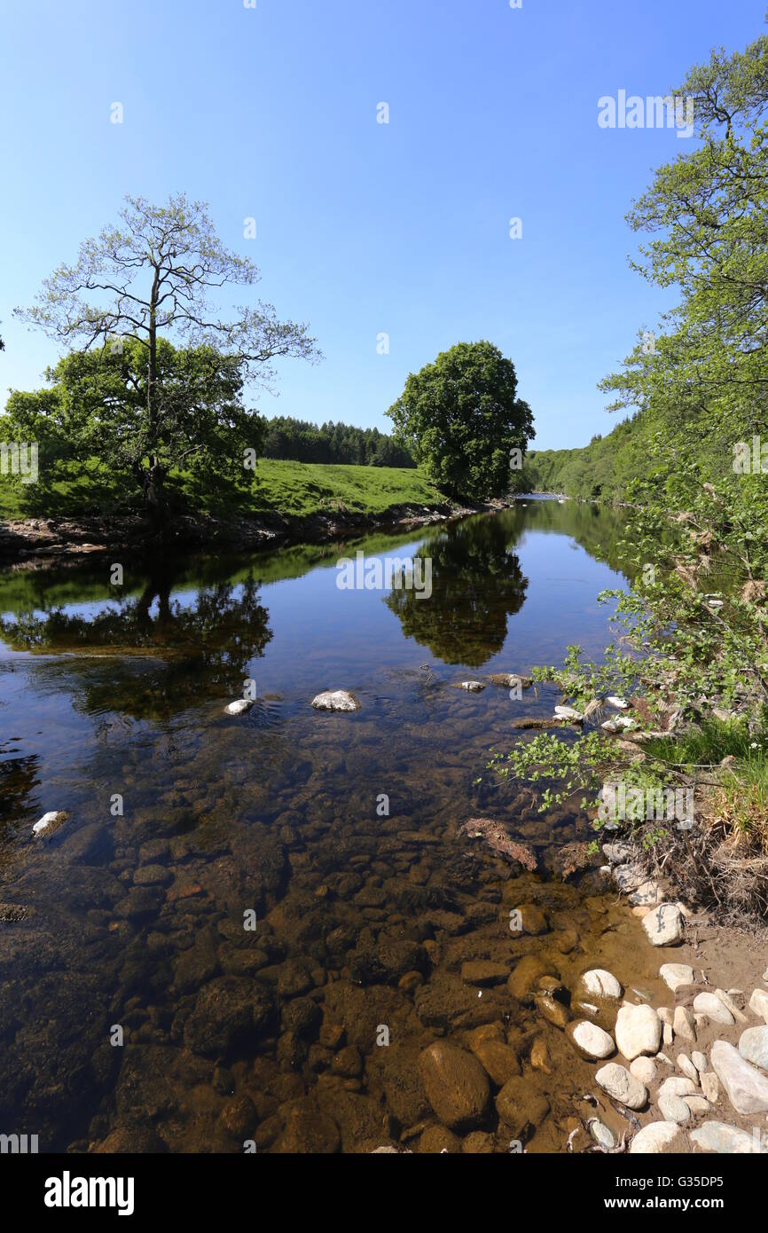 River North Esk near Edzell Angus Scotland June 2016 Stock Photo - Alamy