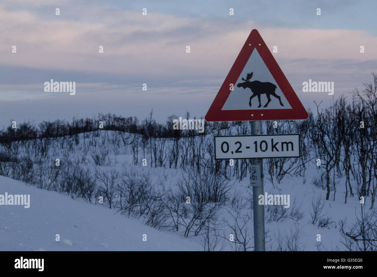 Moose crossing warning road sign in the snow Stock Photo - Alamy
