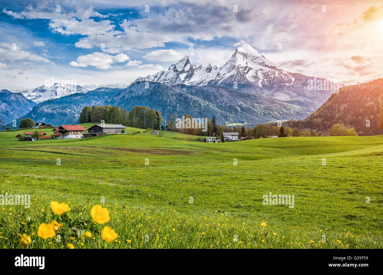 Idyllic landscape in the Alps with fresh green meadows, blooming ...