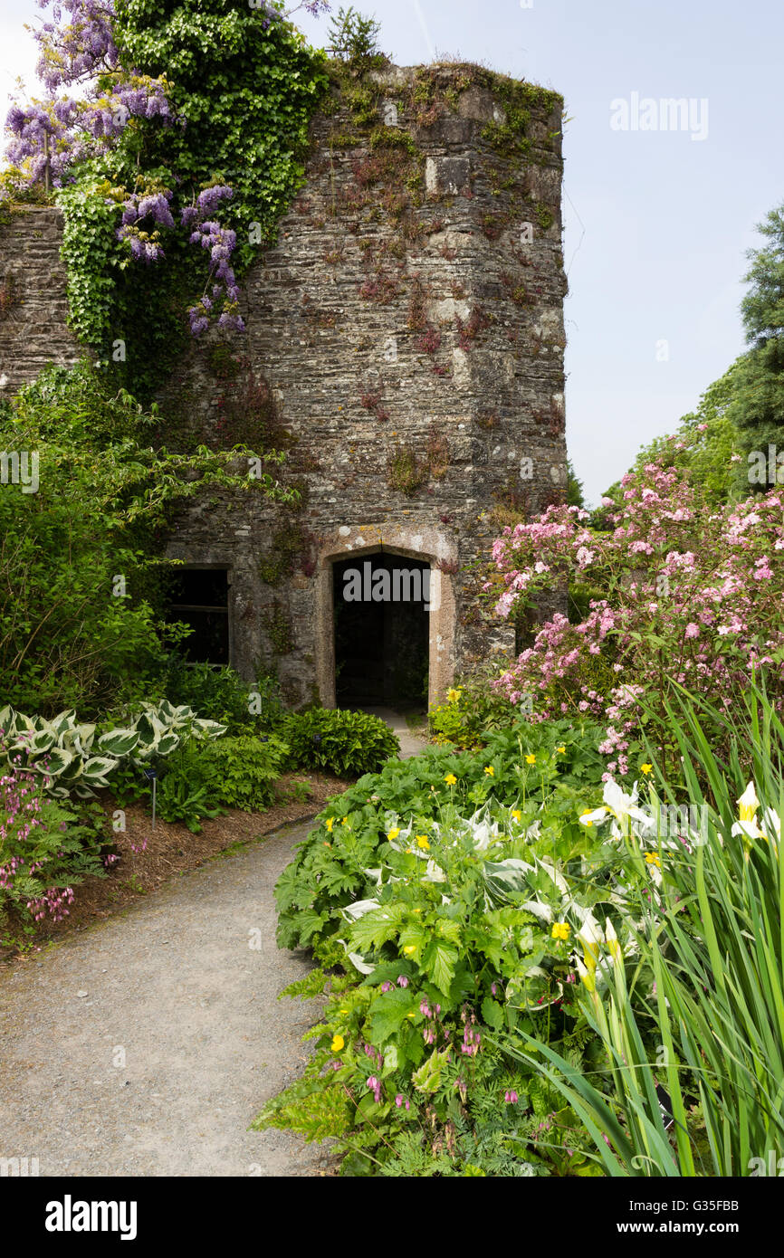 Old tower house hi-res stock photography and images - Alamy