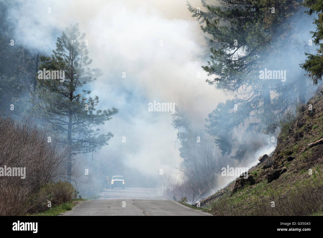 U.S. Forest Service crew monitoring a controlled burn in Oregon's ...