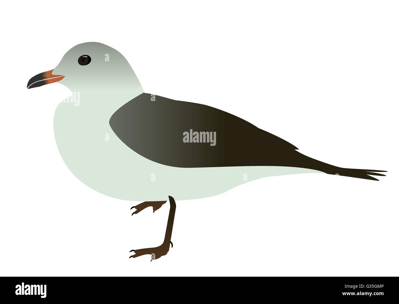 Seabird seagull. Isolated on White background. Vector Illustrati Stock ...