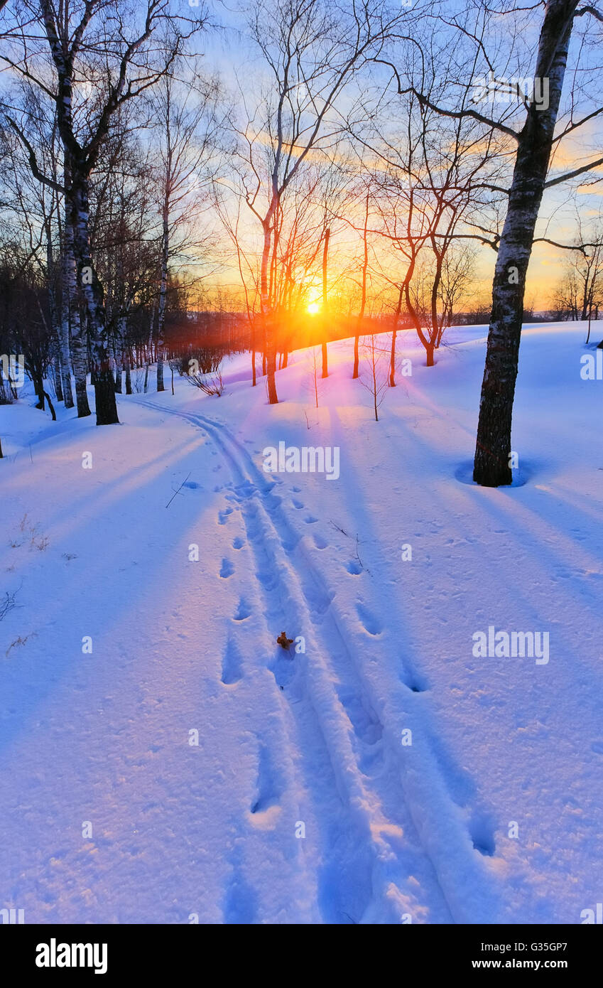 Colorful winter sunset Stock Photo - Alamy