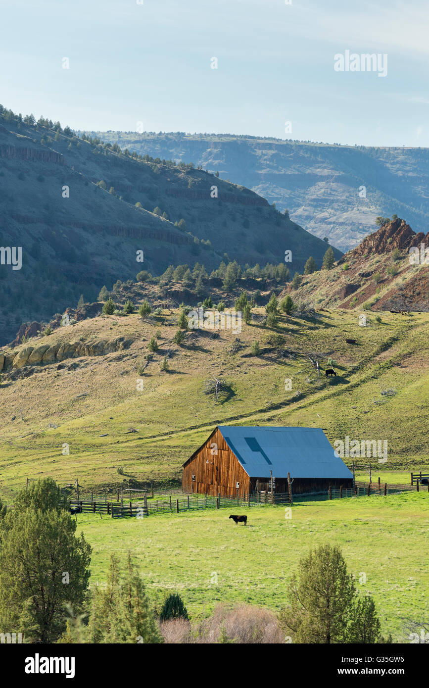 Oregon ranch hi-res stock photography and images - Alamy