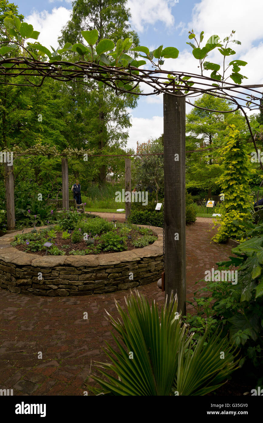 Chelsea Physic Garden - Garden of useful Plants/ Amphitheatre - Chelsea ...