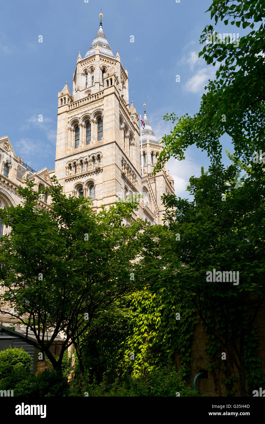 Natural History Museum London main bulding tower Stock Photo - Alamy