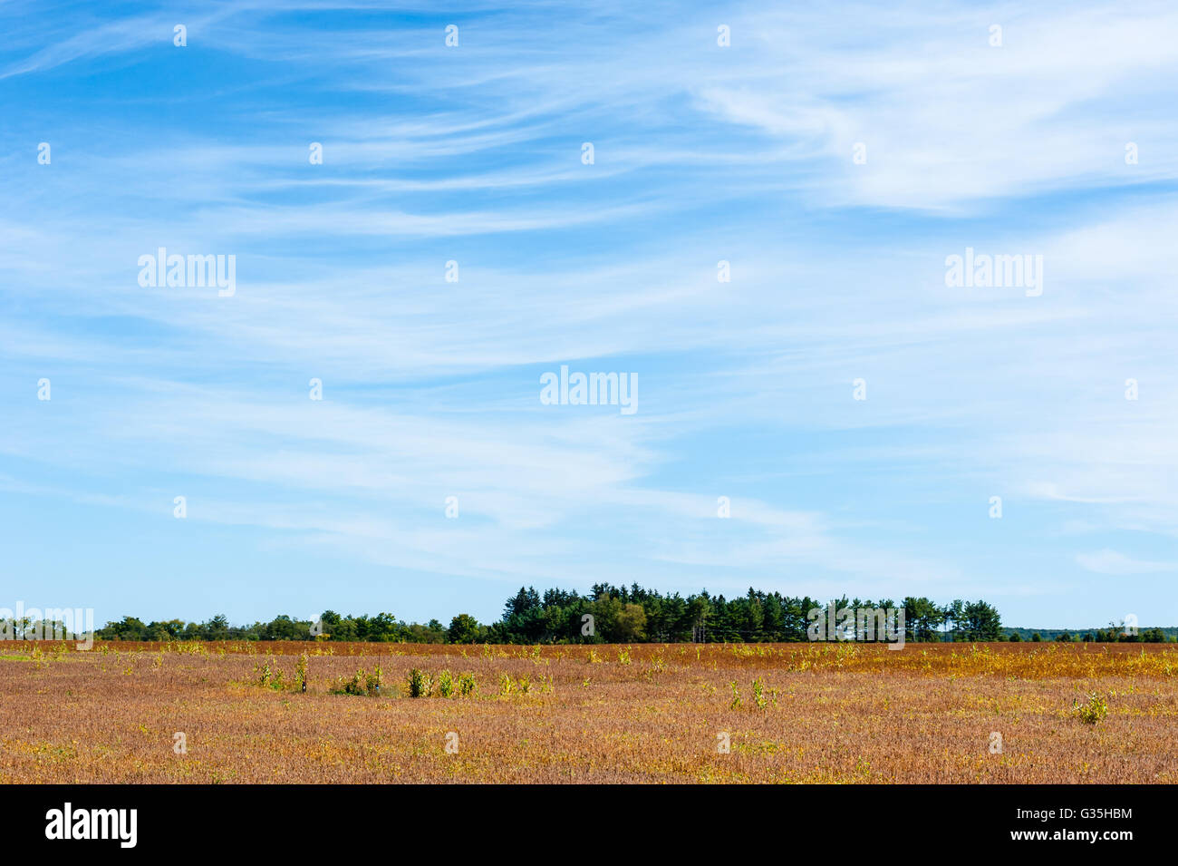 Empty field and clouds in sky hi-res stock photography and images - Alamy