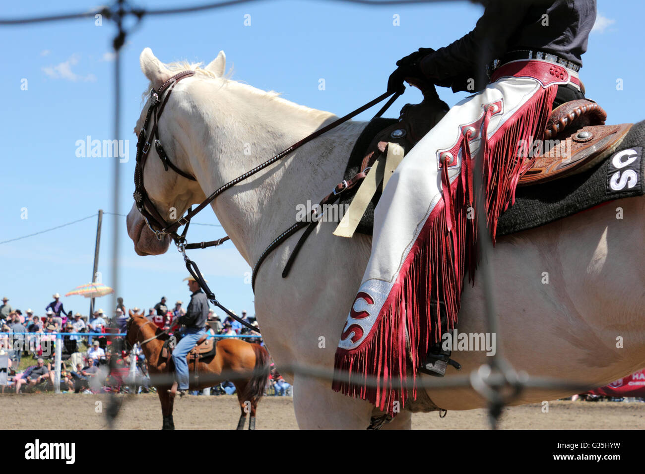 Cowgirl on horse hi-res stock photography and images - Alamy