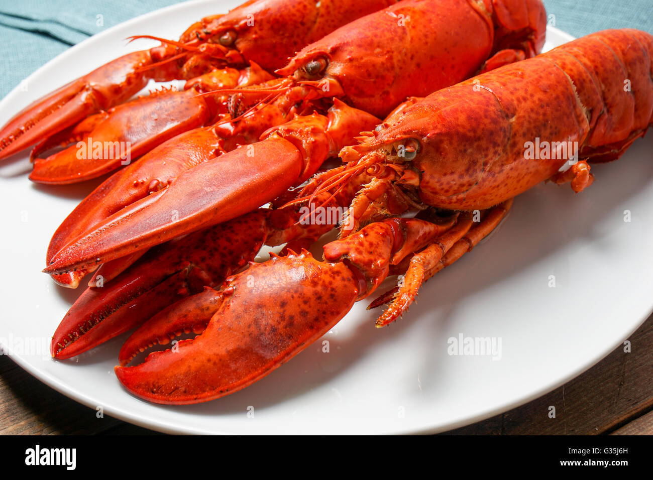Cooked red Lobsters served on white plate ready for eating Stock Photo ...