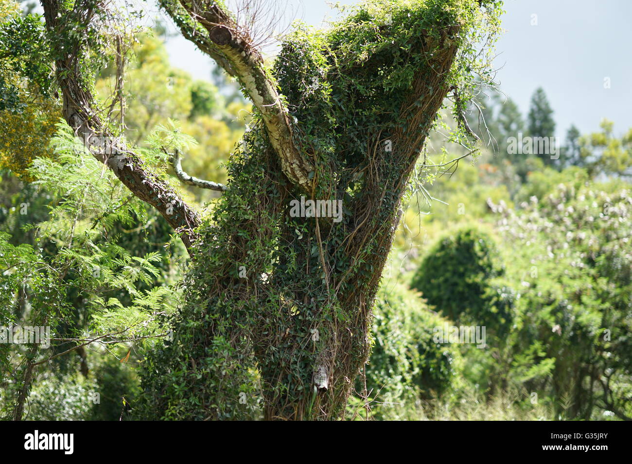 Tantalus drive hi-res stock photography and images - Alamy