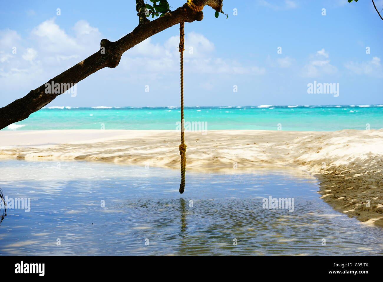 Rope swing on Hawaiian Beach Stock Photo - Alamy