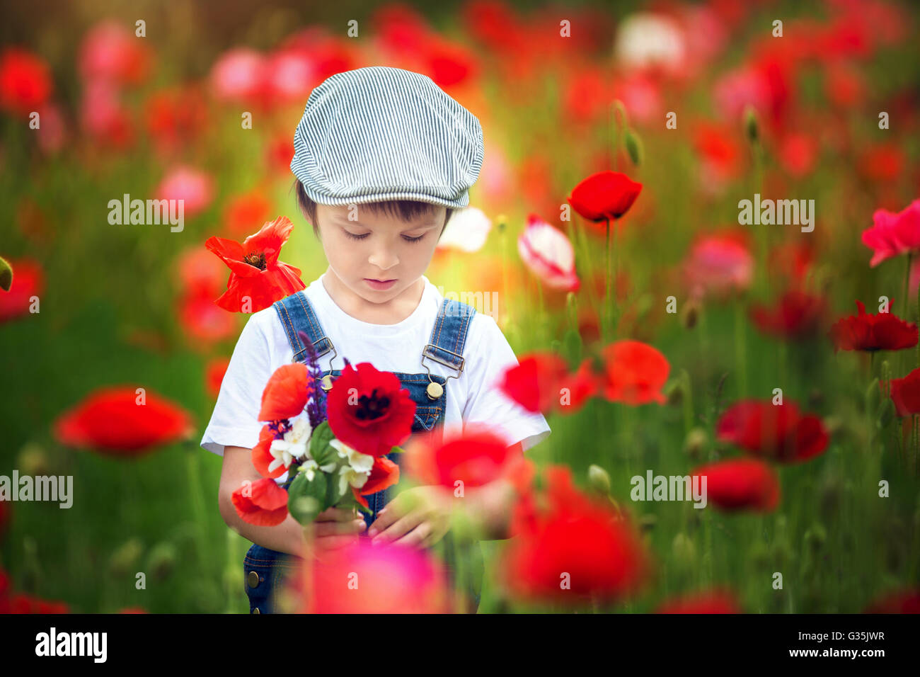 Cute preschool child in poppy field, holding a bouquet of wild flowers ...