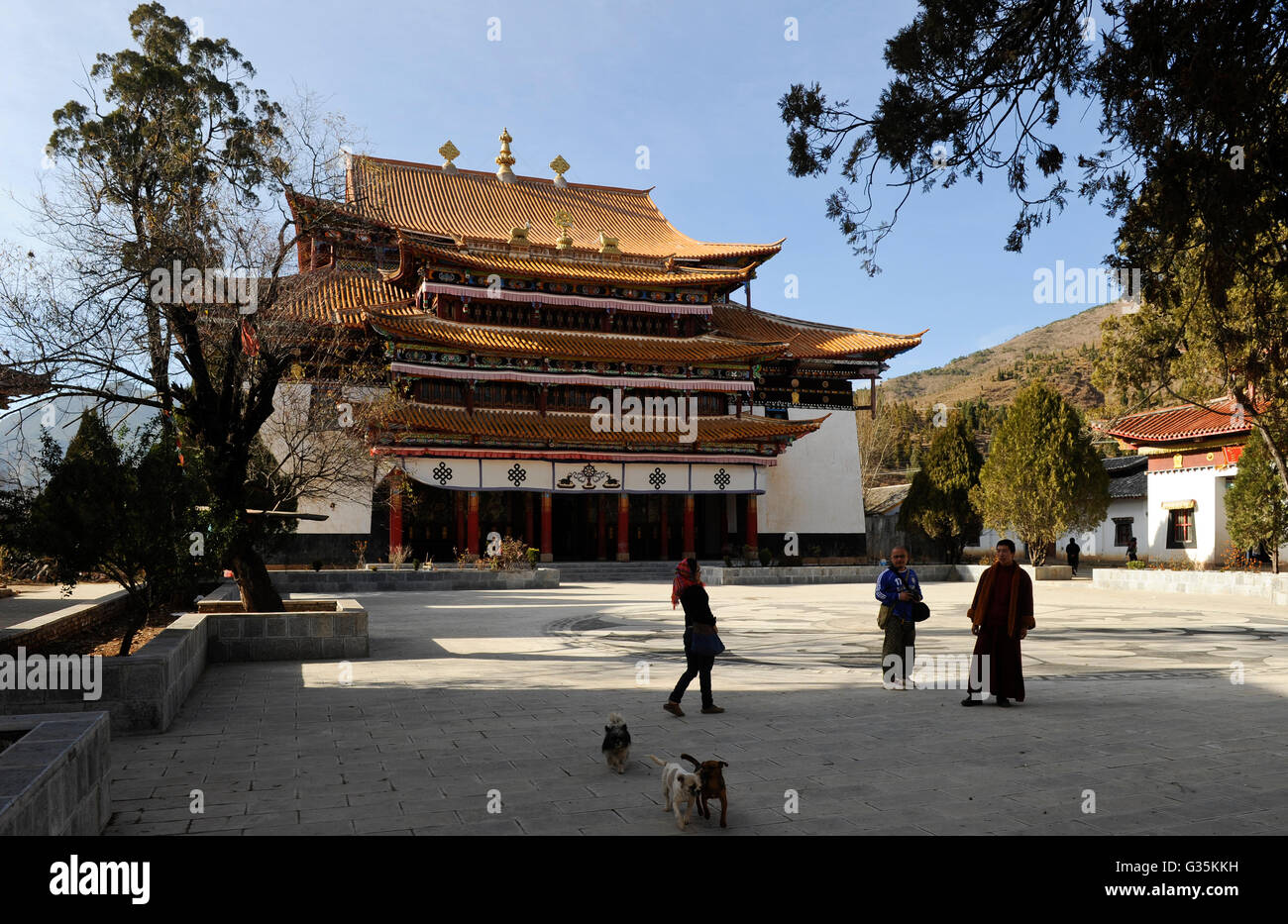 CHINA Yunnan, Yongningxiang, buddhist Lama Temple, this region is home ...