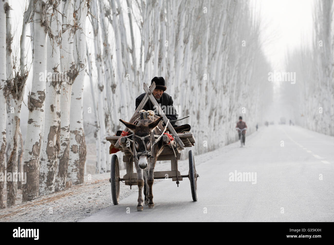 Asia CHINA province Xinjiang uighur villages around city Kashgar where ...