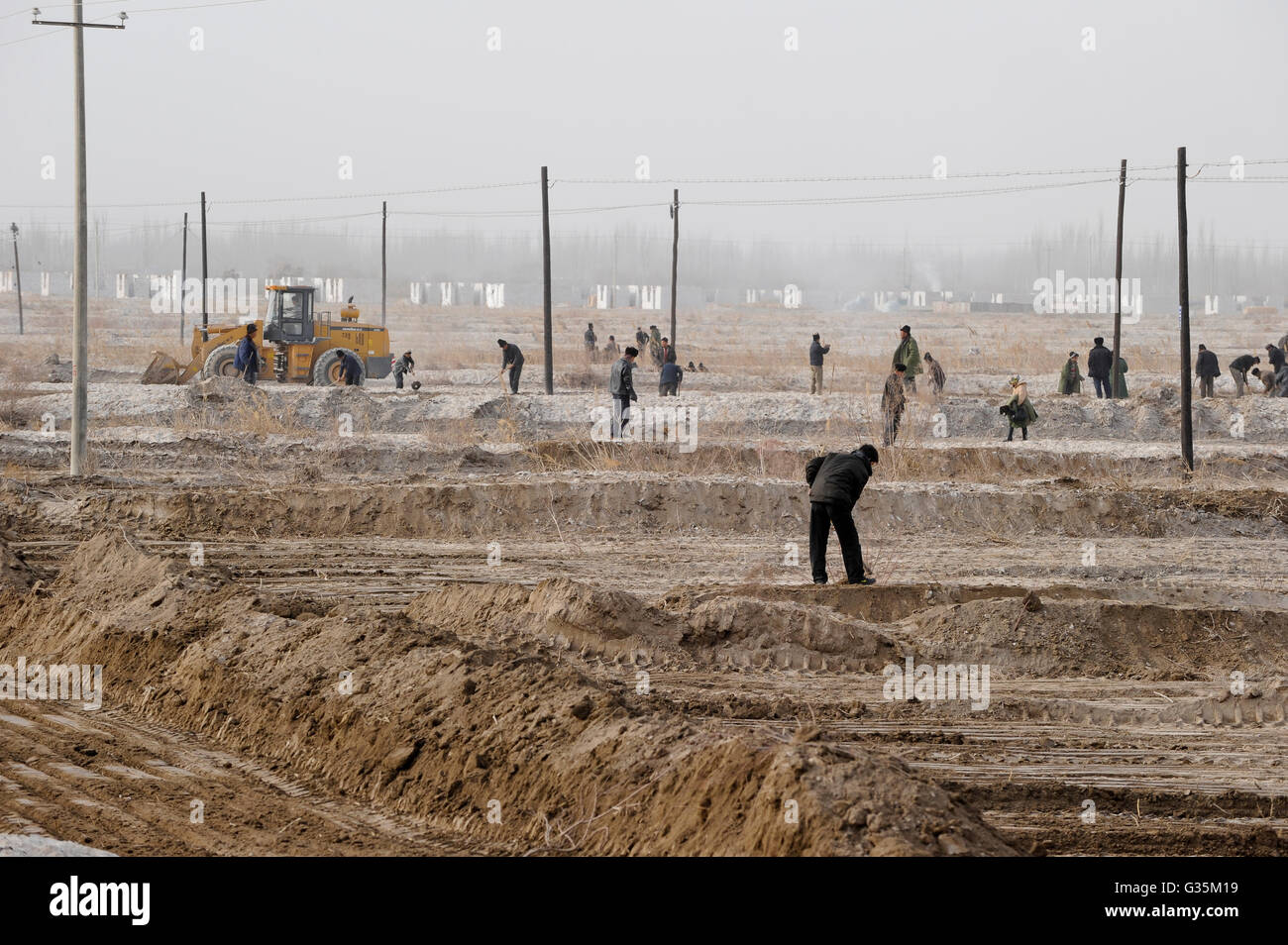 CHINA province Xinjiang, uighur villages around city Kashgar, uyghur ...