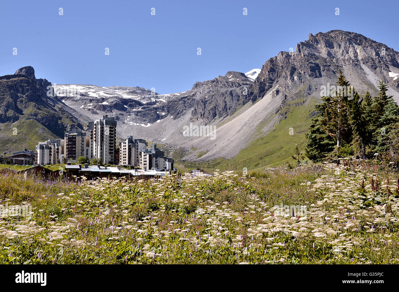 The claret and blue hi-res stock photography and images - Alamy