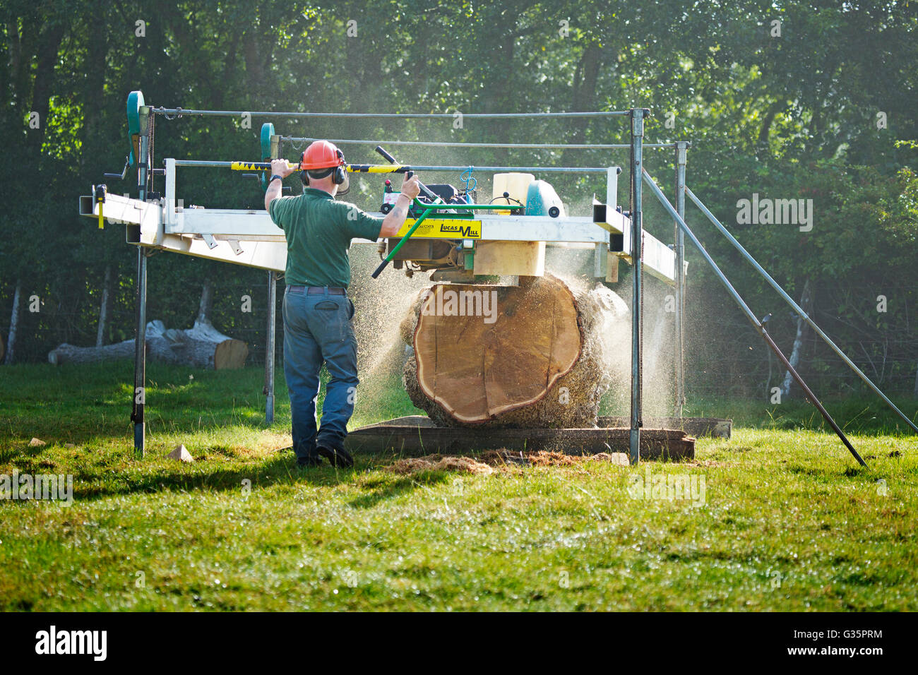 Wood cutting sawmill hi-res stock photography and images - Alamy