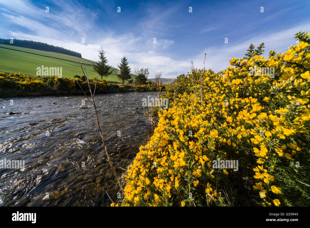 Innerleithen hi-res stock photography and images - Alamy