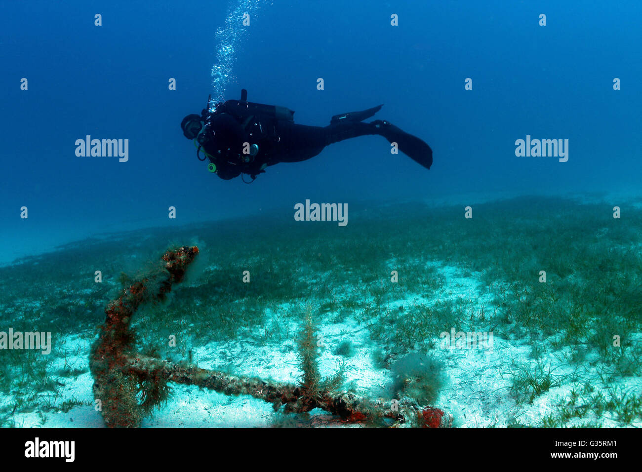 Scuba diving hi-res stock photography and images - Alamy
