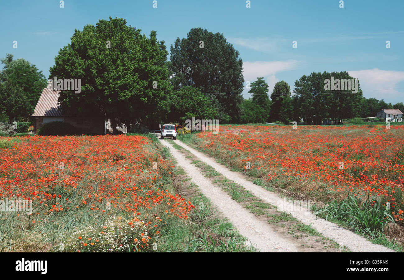 Beautiful path to house in Italian countryside Stock Photo - Alamy