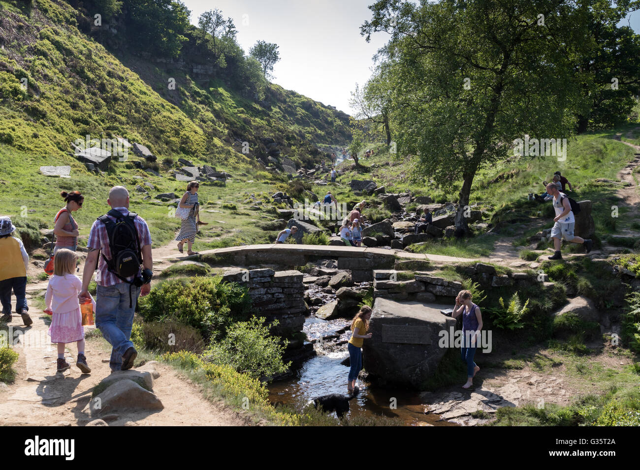 Bronte family tree hi-res stock photography and images - Alamy
