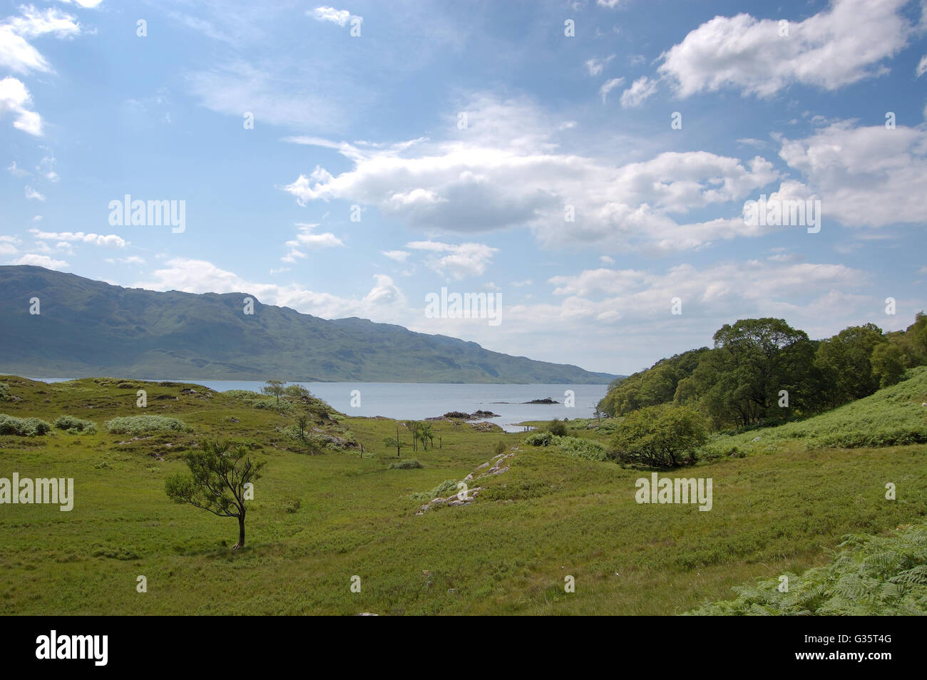 A scenic view of the area around Loch Morar, Scotland Stock Photo - Alamy