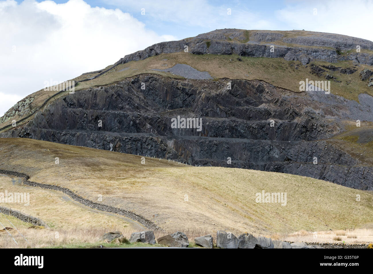 Tilted gritstone rock strata revealed at Dry Rigg Quarry in the ...