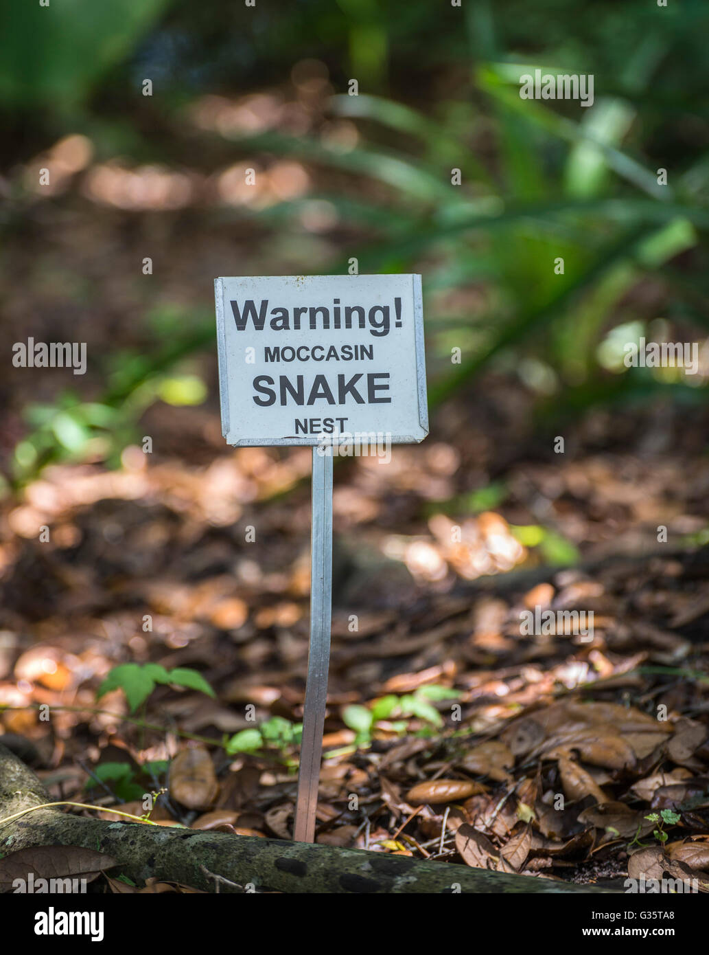 Snake warning sign hi-res stock photography and images - Alamy