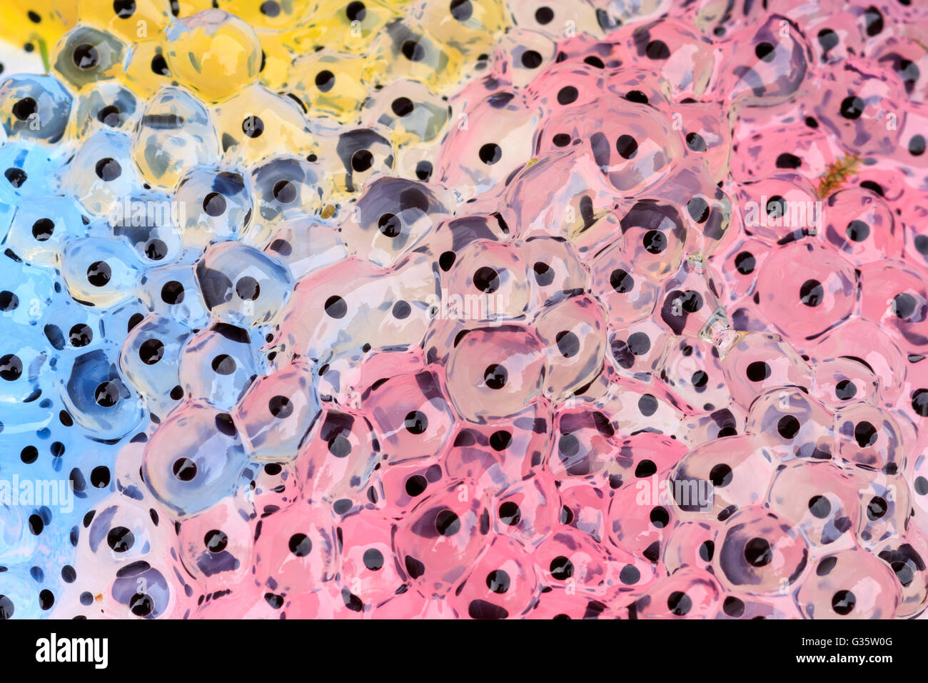 Frogspawn closeup hi-res stock photography and images - Alamy