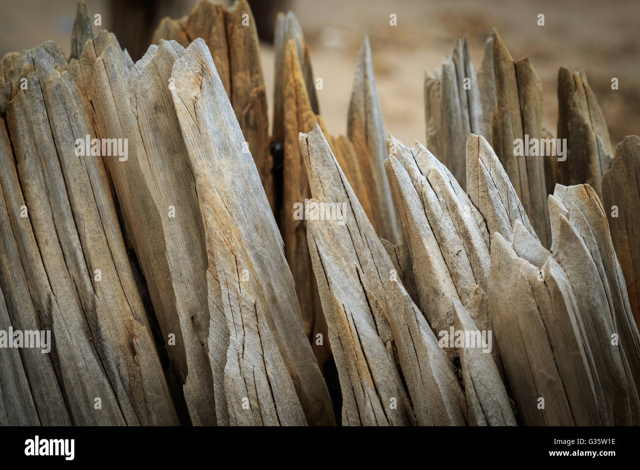 Wooden groynes on the beach at spurn point Stock Photo - Alamy