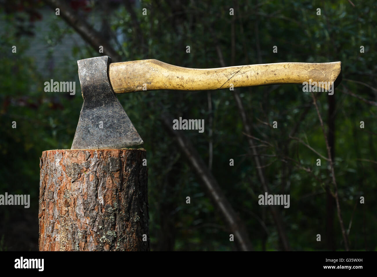 Axe on the stump. Work logger tool. Firewood for the winter Stock Photo ...