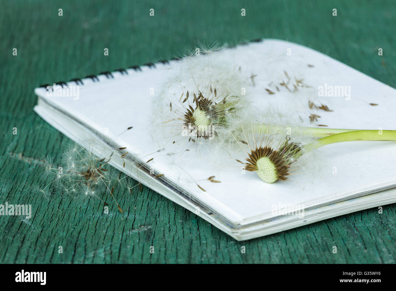 Destroyed seeds hi-res stock photography and images - Alamy