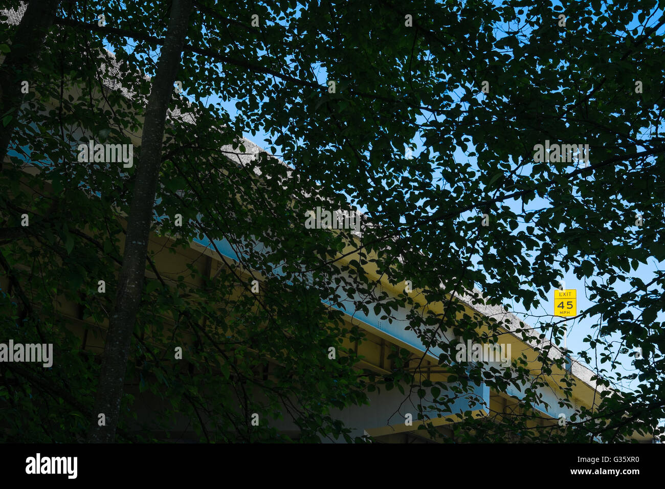 A yellow 45mph Freeway Exit Sign with trees and blue skies shot from a ...