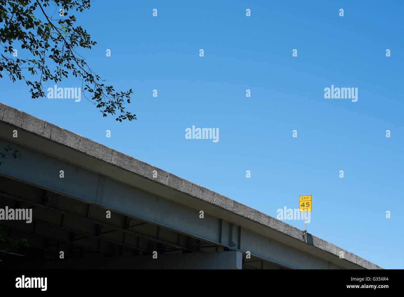 A yellow 45mph Freeway Exit Sign with trees and blue skies shot from a ...