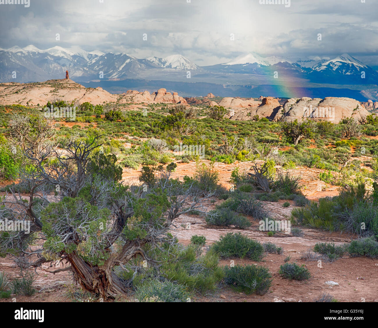 Utah rainbow mountains hi-res stock photography and images - Alamy