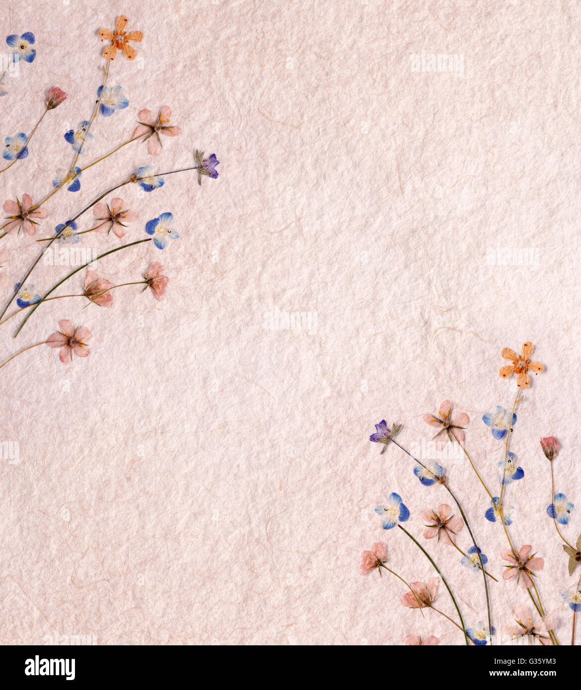 Textured paper hi-res stock photography and images - Alamy