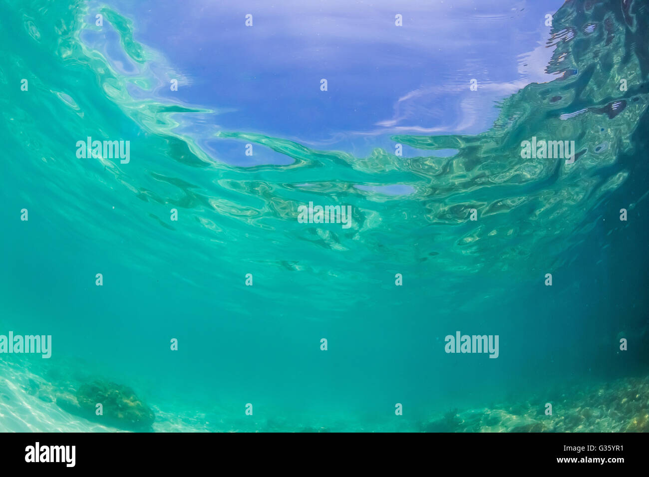 Blue sky view from underwater just outside the moat around Fort ...